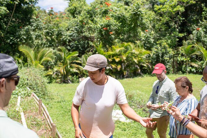Learning about Medicinal Plants of Puerto Rico - FAQ