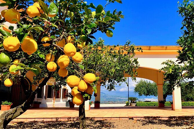 Leave the City Behind Tour with Guide Driver starts from Palermo - Key Points
