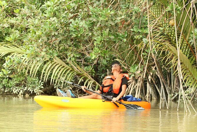 Lebam River Kayaking Adventure - What to Expect on Your Lebam River Kayaking Adventure
