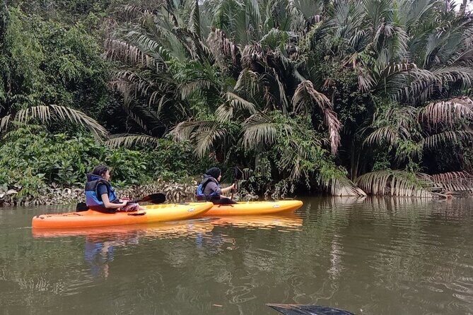Lebam River Kayaking Adventure - Practical Tips