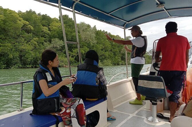 Lebam River Kayaking Adventure - The Sum Up