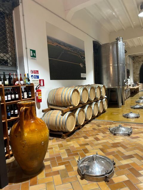 Lecce: E-Bike Tour to Galatina with Olive Mill & Wine taste - Key Points