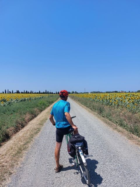 Lecce: E-Bike Tour to Galatina with Olive Mill & Wine taste - The Return Journey and Final Highlights