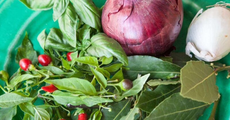 Lecce: Market and Private Cooking Class at a Local's Home - Frequently Asked Questions