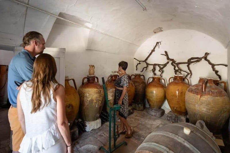 Lecce: Rural Cooking Class with Wine Tasting - An In-Depth Look at the Experience
