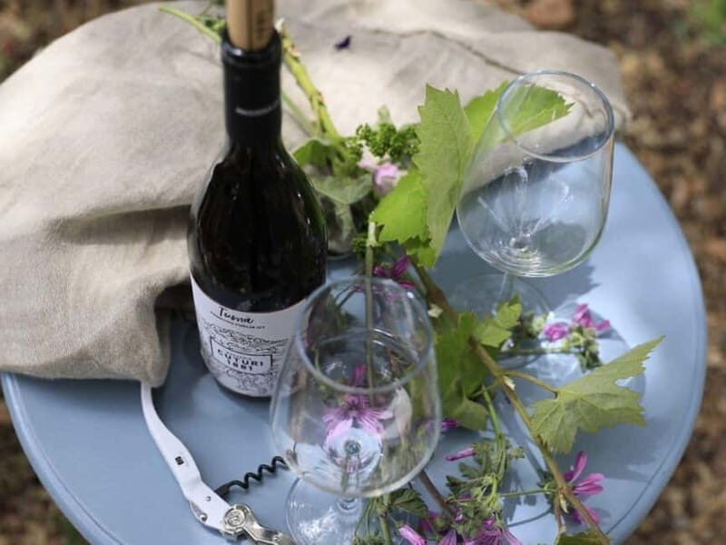Lecce: Taranto and Manduria Winery Tour with Wine Tasting - A Closer Look at the Experience