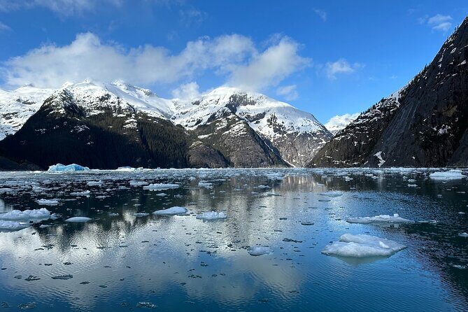 LeConte Glacier Tour and Norwegian Town Exploration - Comparing Value and Experience