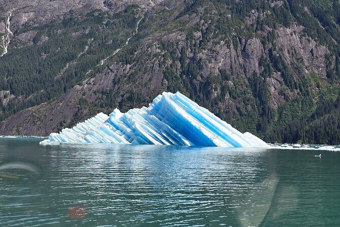 LeConte Glacier Tour and Norwegian Town Exploration - Final Thoughts: Is This Tour Worth It?