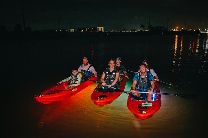 LED Bio Comb Jelly Clear Bottom Kayak or Paddleboard Tour! - What to Expect from the Tour