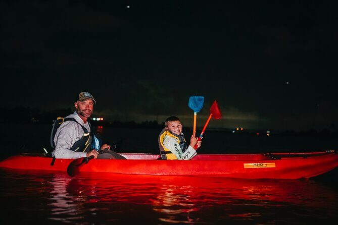LED Bio Comb Jelly Clear Bottom Kayak or Paddleboard Tour! - The Experience’s Fluctuations and How to Prepare