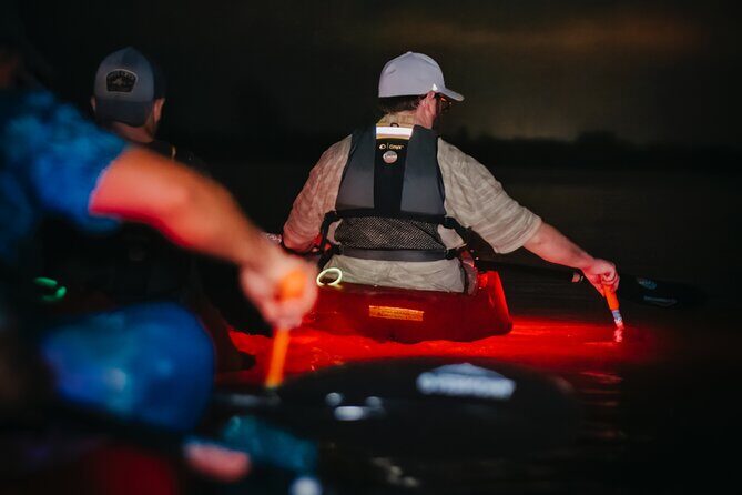 LED Bio Comb Jelly Clear Bottom Kayak or Paddleboard Tour! - Who Should Book?
