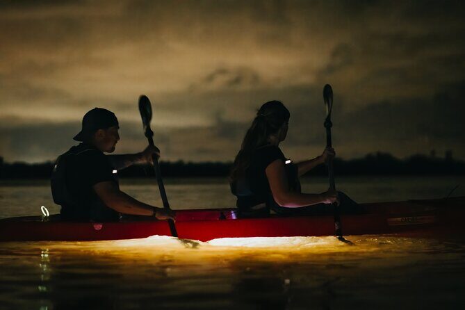 LED Bio Comb Jelly Clear Bottom Kayak or Paddleboard Tour! - Final Thoughts