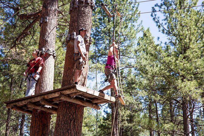 Ledgewood Adventure Course - An Authentic Tree-Top Adventure in New Jersey