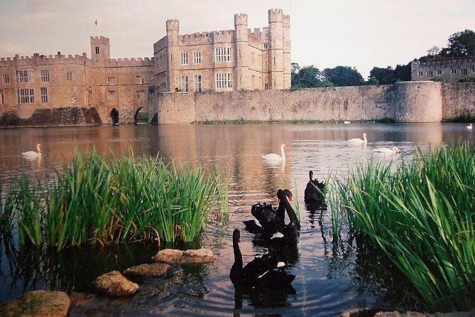 Leeds Castle, Canterbury and White Cliffs of Dover - Driver Guide - Who Will Love This Tour?