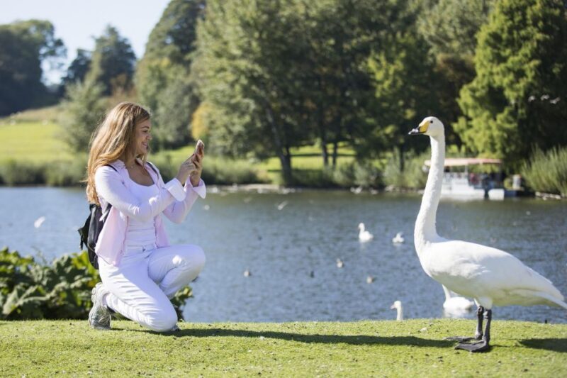 Leeds Castle, Canterbury Cathedral & Dover Private Tour - Final Thoughts