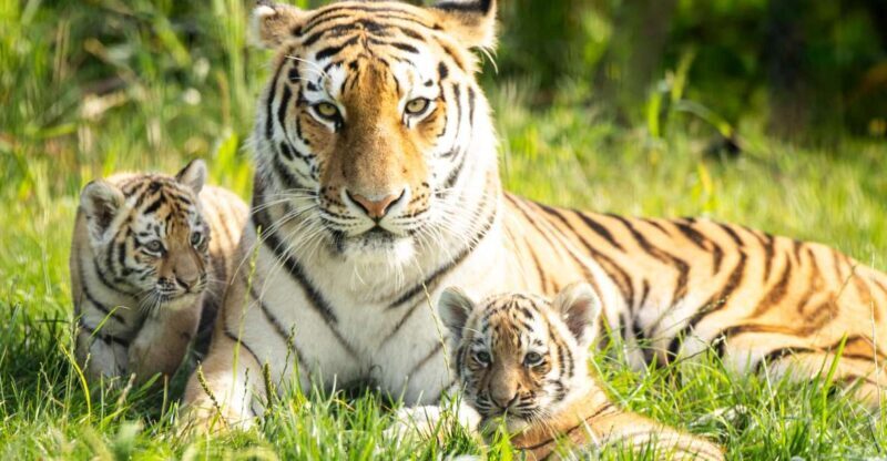 Leewarden: AquaZoo Entry Ticket - Key Points