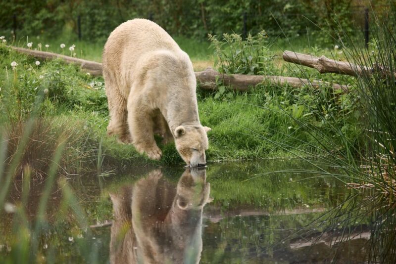 Leewarden: AquaZoo Entry Ticket - The Sum Up