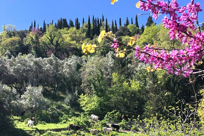 Lefkada: Mountain Gems Electric Fat Bicycle Tour & Tasting - Final Thoughts