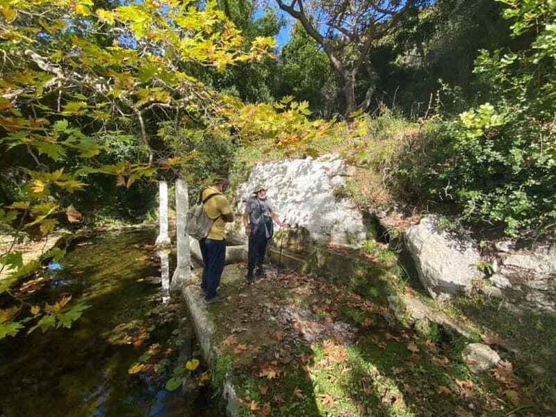 Lefkada: Path of Springs Hike with Olive Oil Tasting - Key Points