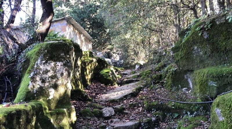 Lefkada: Path of Springs Hike with Olive Oil Tasting - Exploring Lefkada’s Scenic Path of Springs