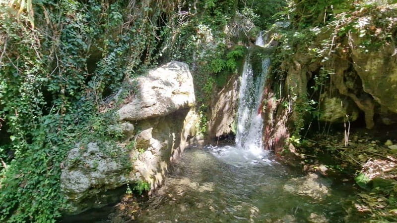 Lefkada: Path of Springs Hike with Olive Oil Tasting - Practical Details & Value
