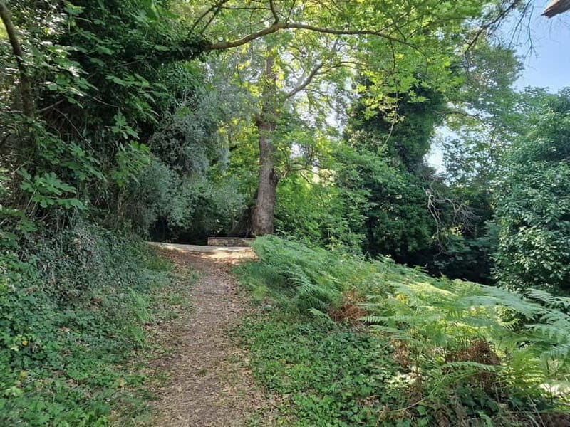 Lefkada: Path of Springs Hike with Olive Oil Tasting - The Sum Up