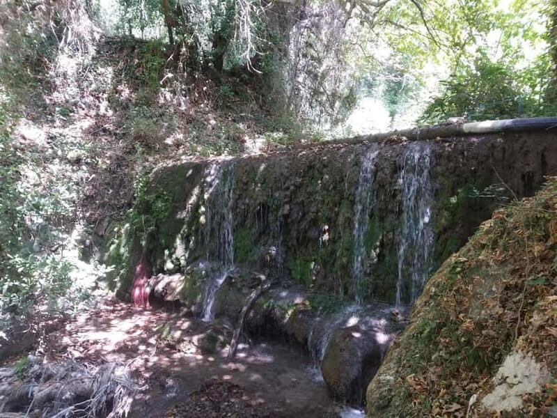 Lefkada: Path of Springs Hike with Olive Oil Tasting - FAQ