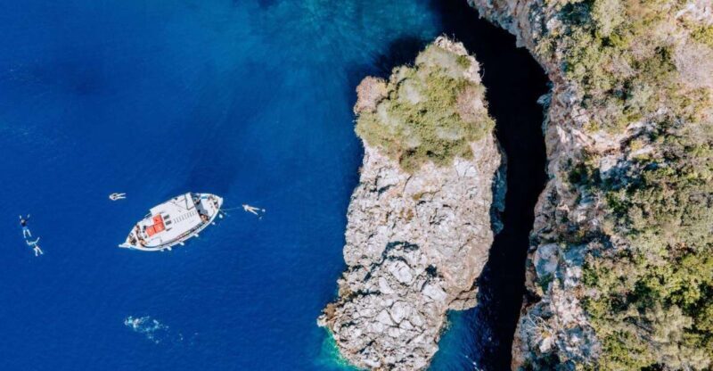 Lefkada: Private Marine Wildlife tour - Key Points
