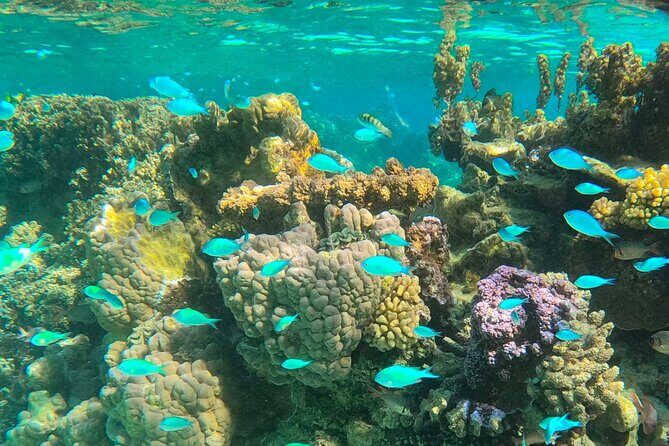Legend Storytelling and Stargazing in Bora Bora - Who Should Consider This Tour?
