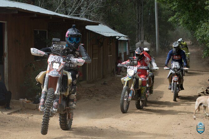 Legendary Baja 1000 Race Route Expedition in Ensenada to La Paz - Key Points