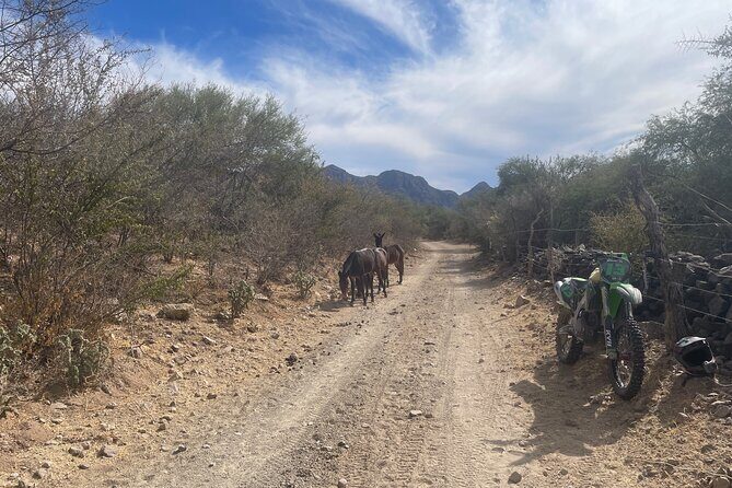 Legendary Baja 1000 Race Route Expedition in Ensenada to La Paz - Breakdown of the Itinerary