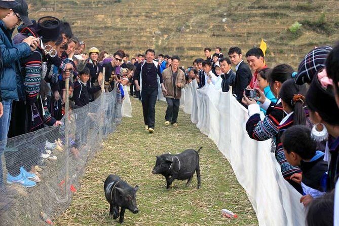 Legends of Northern Vietnam 9 Days - An In-Depth Look at the Itinerary