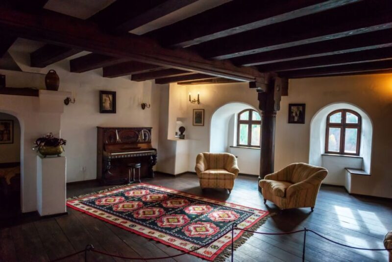 Legends&Wildlife Awaits: Dracula's Castle & Bear Sanctuary - An In-Depth Look at the Tour Experience