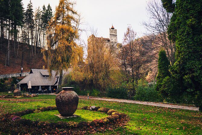 Legends&Wildlife Awaits: Dracula's Castle & Bear Sanctuary - Exploring the Day: A Balance of Nature and Myth