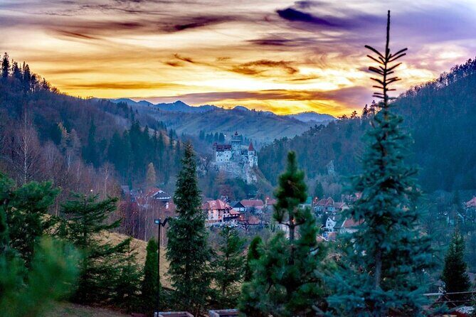 Legends&Wildlife Awaits: Dracula's Castle & Bear Sanctuary - Final Thoughts