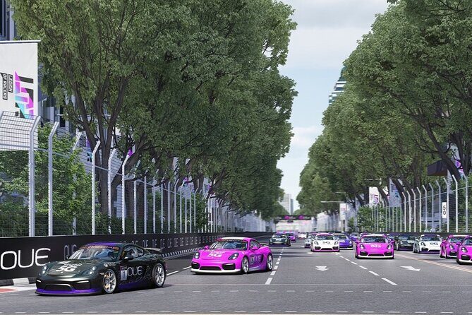 Legion of Racers - Hardware and Gaming Setup