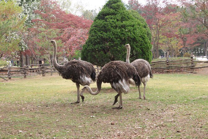 LEGOLAND Ticket with Transport & opt Railbike Day Tour from Seoul - The Sum Up: Who Is This Tour For?