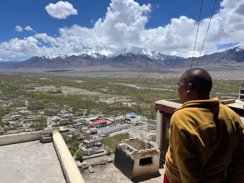Leh Full-Day Expedition with (Thicksey - Shey and Hemis) - The Sum Up: Who Should Consider This Tour?