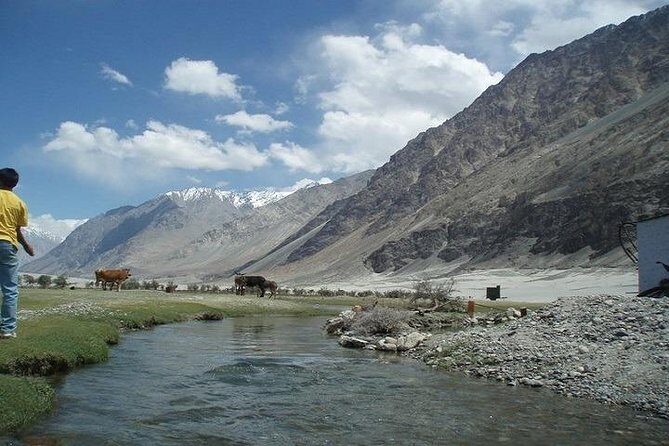 LEH LADAKH TOUR (6 Nights /7 Days) - Practical Tips & Considerations