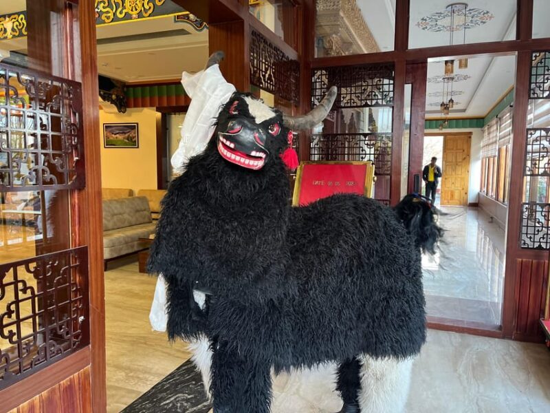 Leh: Nubra Valley Day Trip via Khardung La Pass - The Sum Up