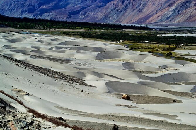 Leh to Nubra Valley Private Tour - Why This Tour Is a Great Choice