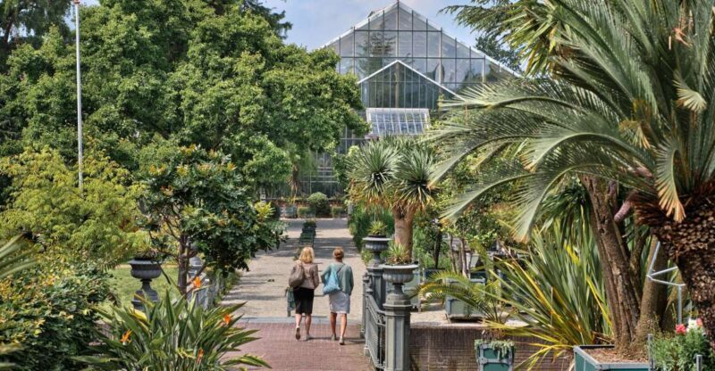 Leiden: Hortus Botanicus Entry Ticket - How to Make the Most of Your Visit