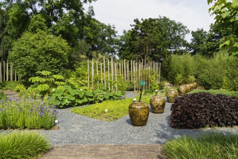 Leiden: Hortus Botanicus Entry Ticket - Practical Tips and Value