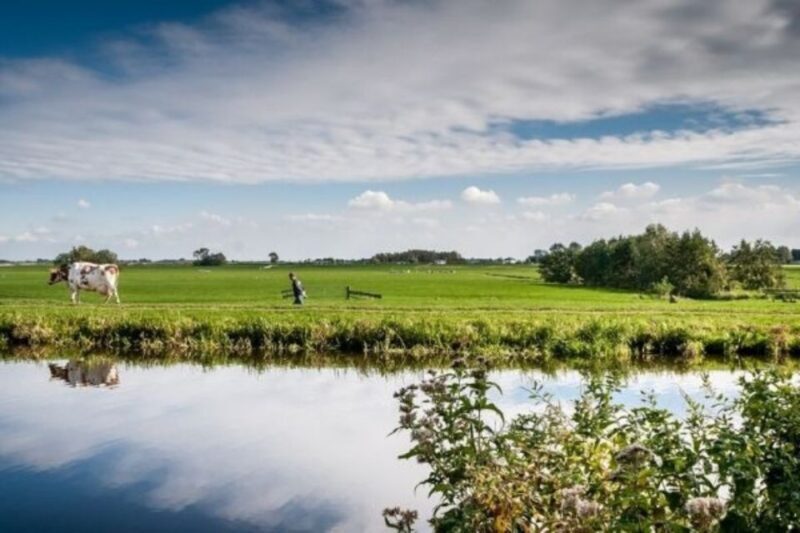Leiden: Windmill and Countryside Cruise near Keukenhof - Key Points