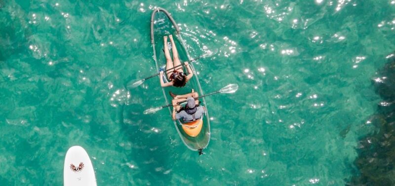 Leigh: Goat Island Clear Kayak Rental - Introduction: A Glimpse of Underwater Adventure