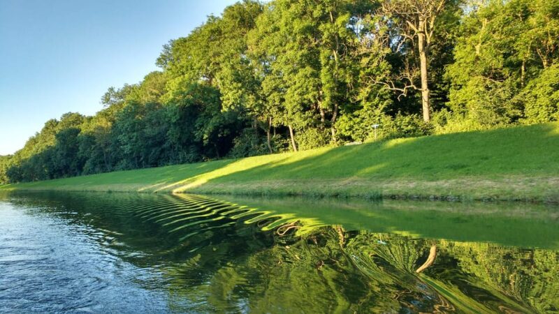 Leipzig: 2-hour Auwald Motorboat Tour - The Value of the Tour: Price and What You Get