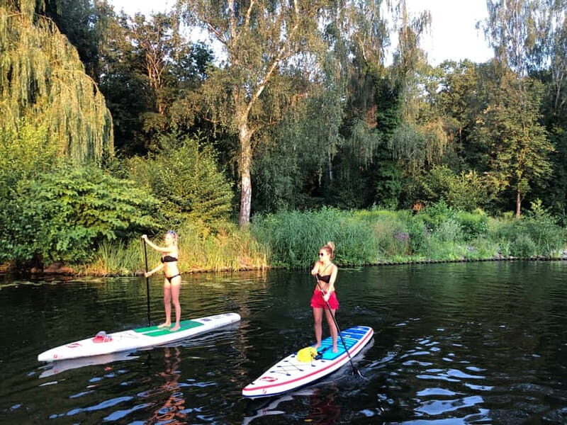 Leipzig: Cospudener Lake Stand-Up Paddleboard Course - Exploring the Paddleboard Experience