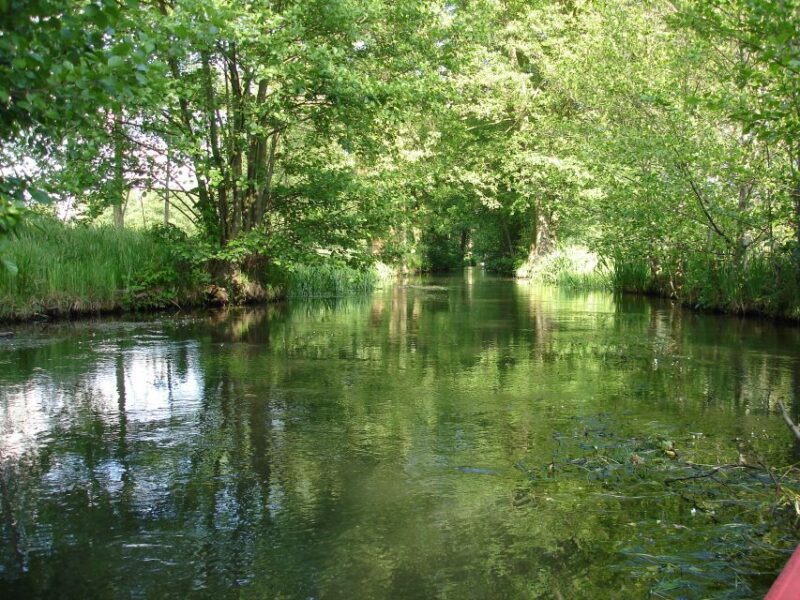Leipzig: Riverside Forest Tour on the Pleiße - Key Points