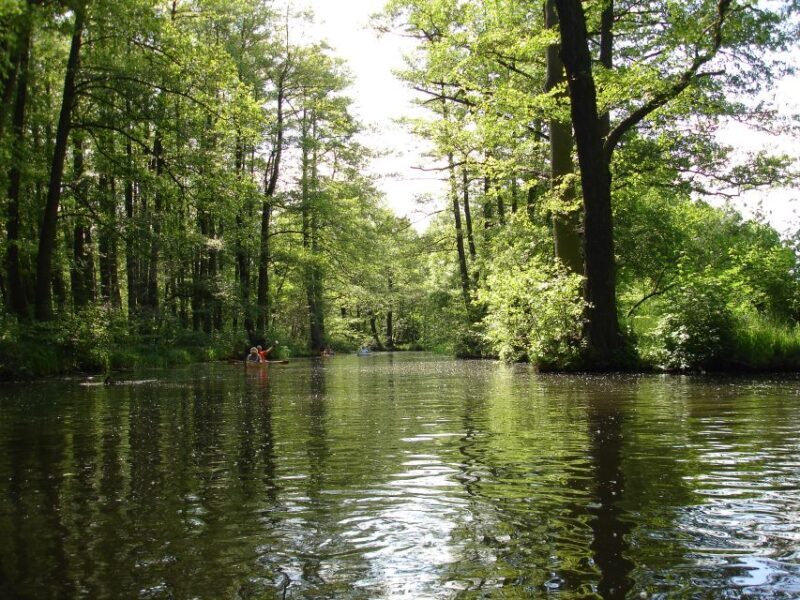 Leipzig: Riverside Forest Tour on the Pleiße - Who Will Enjoy This Tour?