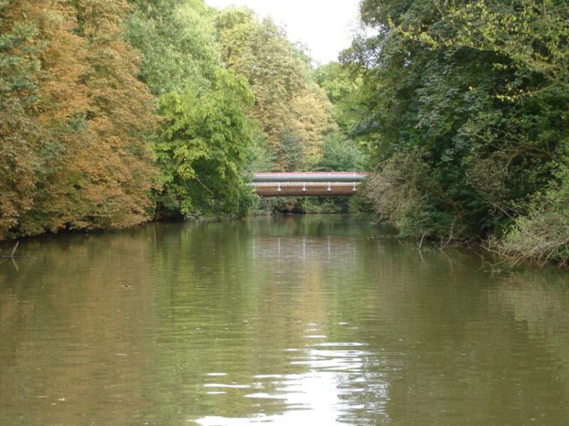 Leipzig: Riverside Forest Tour on the Pleiße - The Sum Up